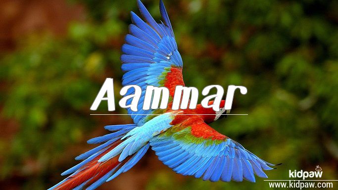 Aammar 3D Name Wallpaper for Mobile, Write Name on Photo Online