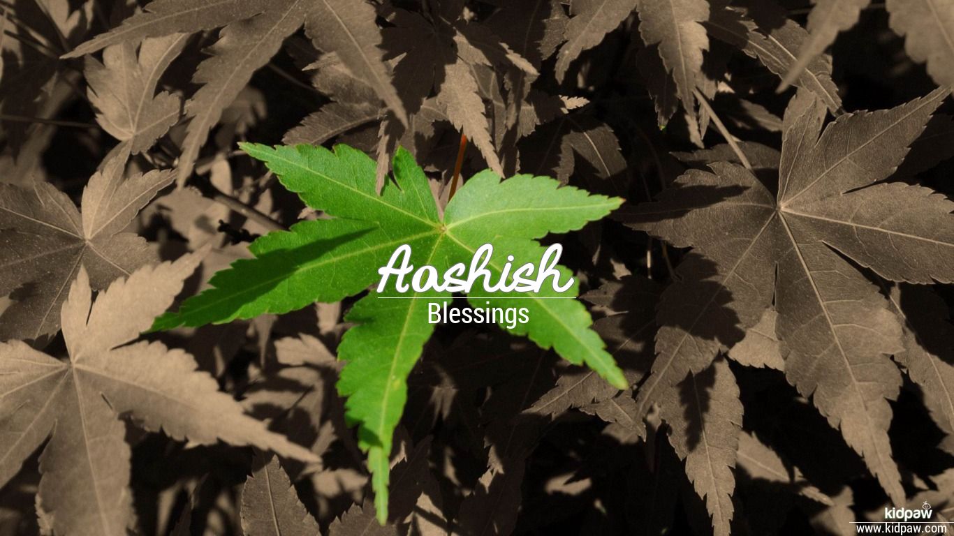आशीष | Aashish Name Meaning in Hindi & English, Rashi, Nakshatra ...