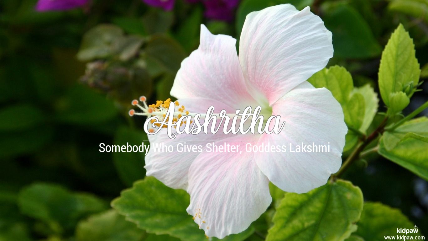 Aashritha 3D Name Wallpaper for Mobile, Write आश्रिता Name on Photo Online