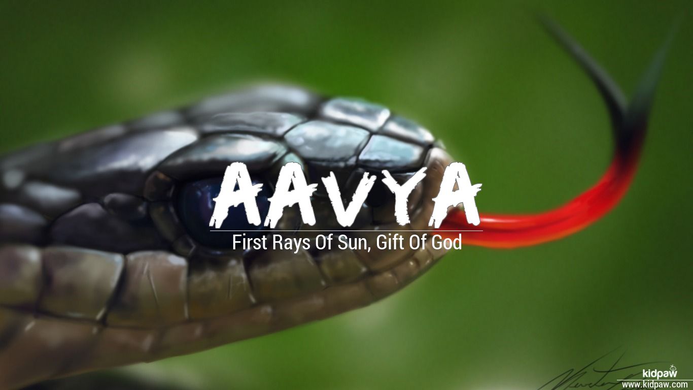 आव्या | Aavya Name Meaning in Hindi & English, Rashi, Nakshatra, Origin ...