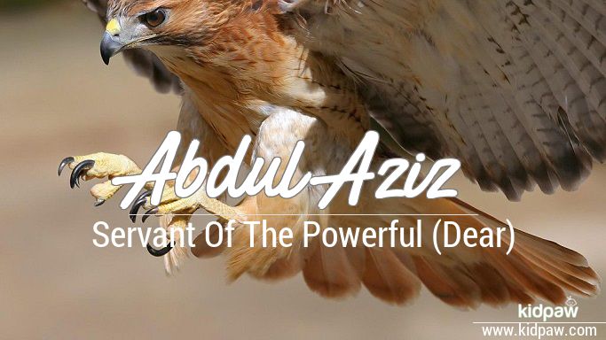Abdul Aziz Name Meaning in English & Urdu, Origin, Luck Number
