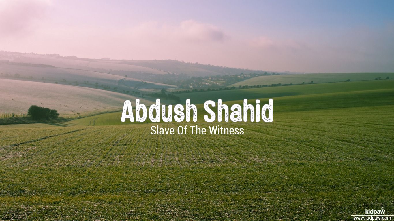 Abdush Shahid Name Meaning in English & Urdu, Origin, Luck Number