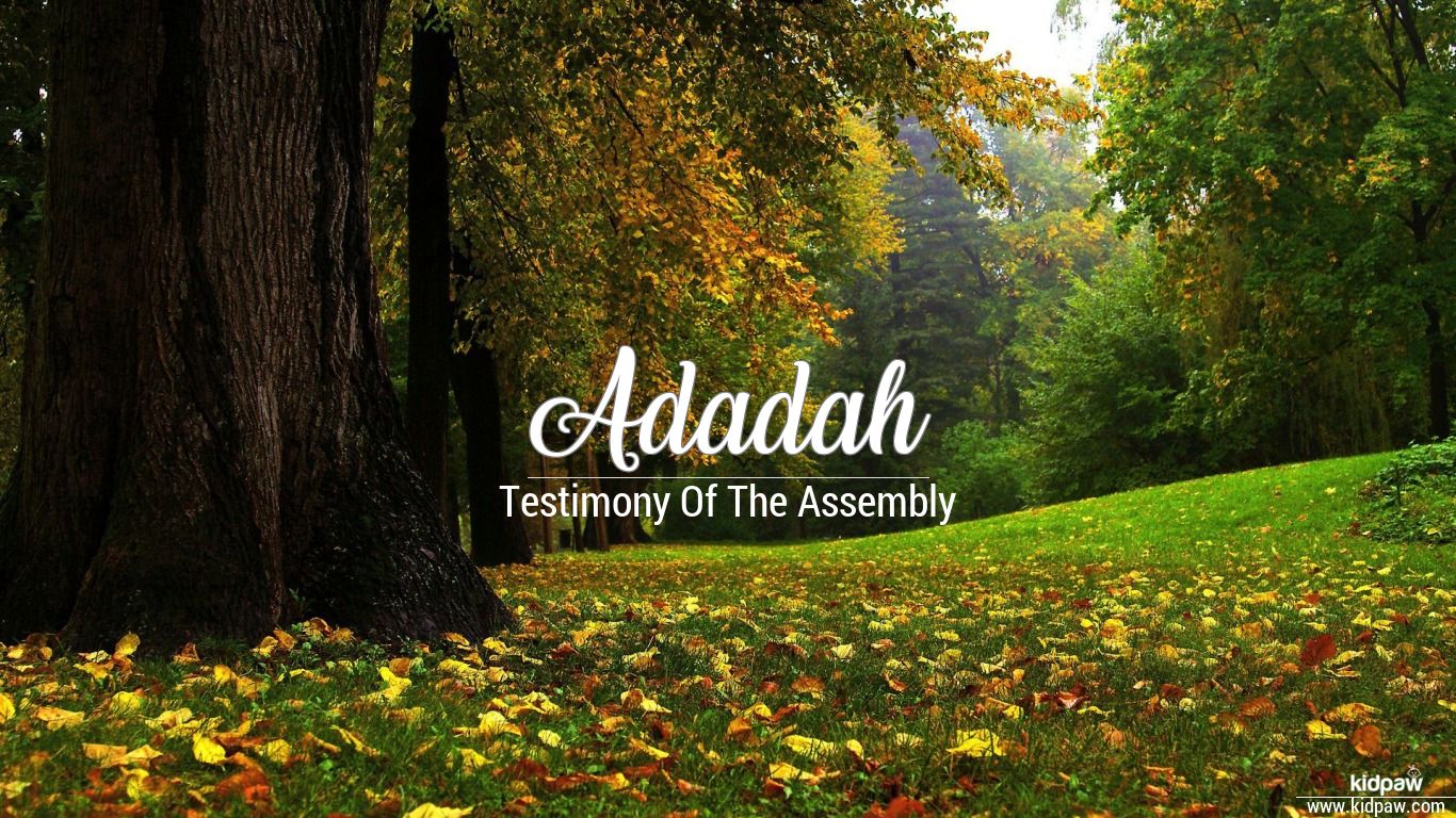 Adadah Meanings in English, Popularity, Origin