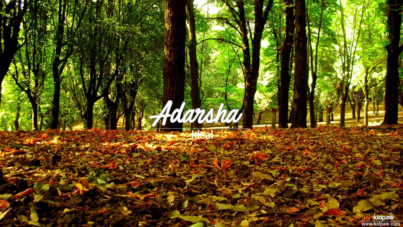 आदर्शा | Adarsha Name Meaning in Hindi & English, Rashi, Nakshatra ...