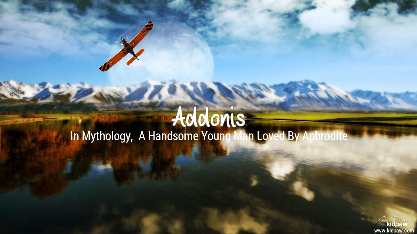 Addonis Meanings in English, Popularity, Origin