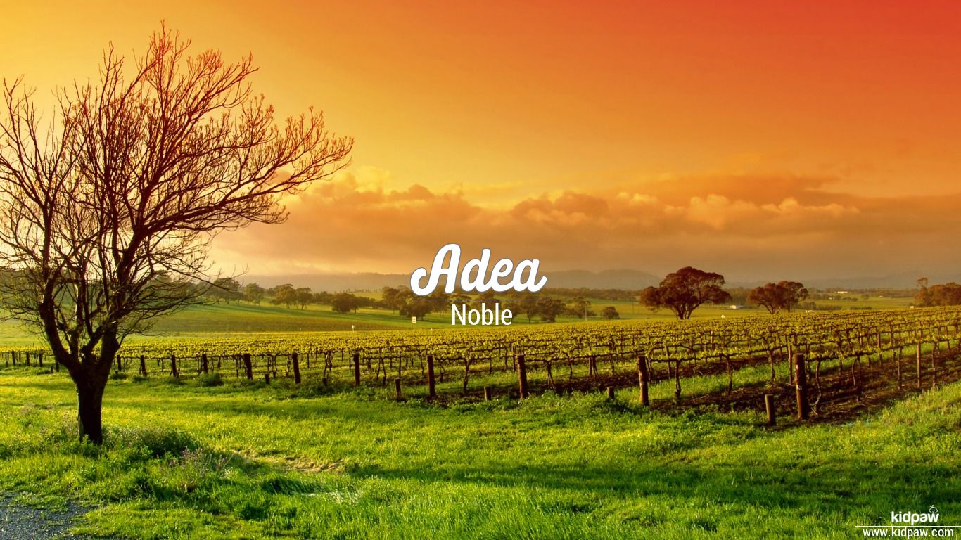 Adea 3D Name Wallpaper for Mobile, Write Name on Photo Online