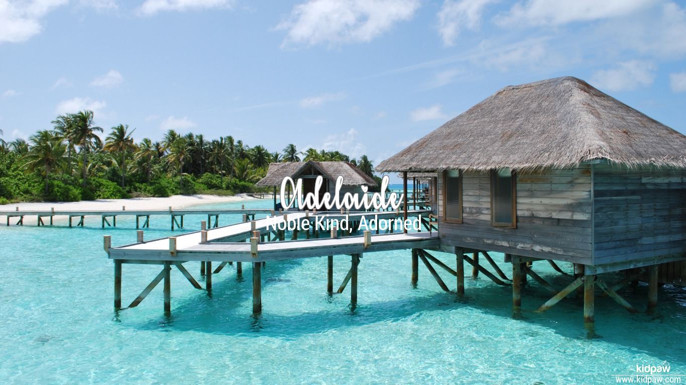 Adelaide 3D Name Wallpaper for Mobile, Write Name on Photo Online