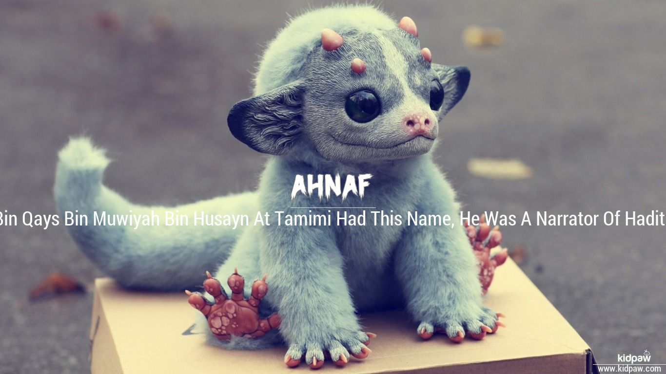 Ahnaf Name Meaning in English & Urdu, Origin, Luck Number