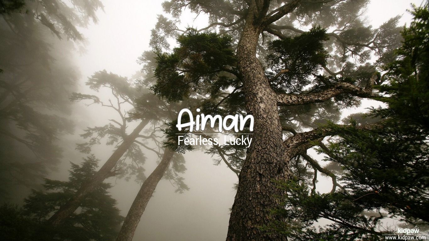 Aiman Name Meaning in English & Urdu, Origin, Luck Number