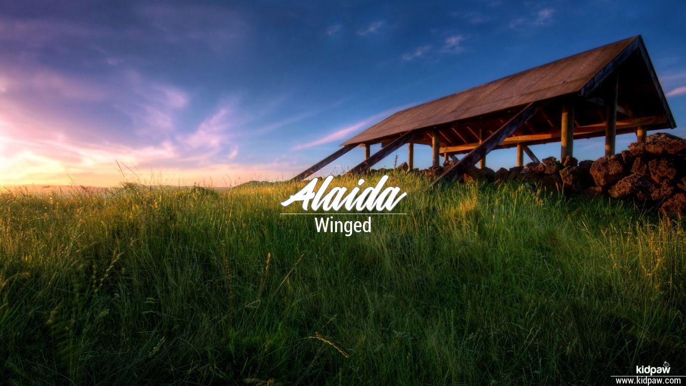 Alaida 3D Name Wallpaper for Mobile, Write Name on Photo Online