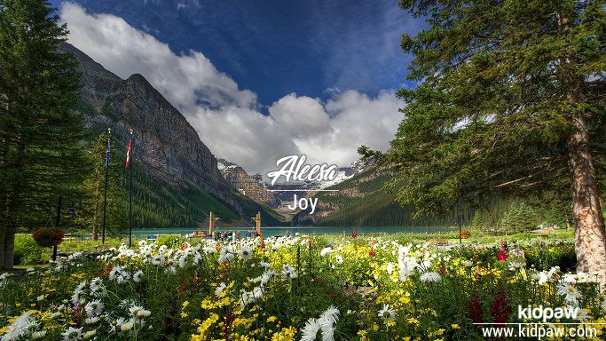 Aleesa Name Meaning in English & Urdu, Origin, Luck Number