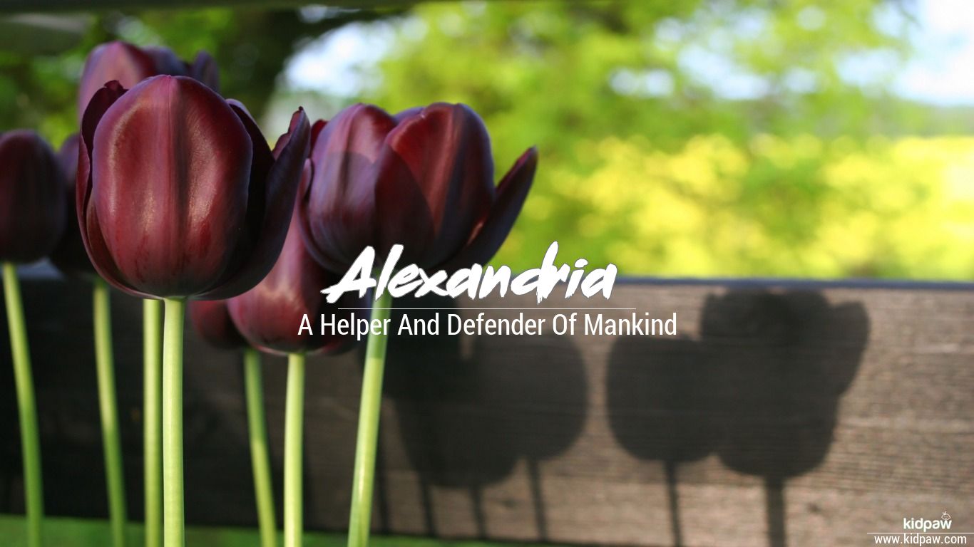 Alexandria Meanings in English, Popularity, Origin