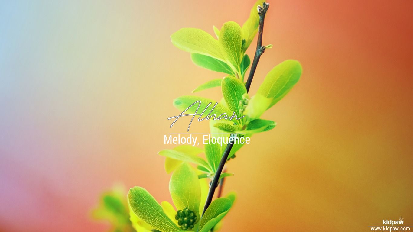 Alhan Name Meaning in English & Urdu, Origin, Luck Number