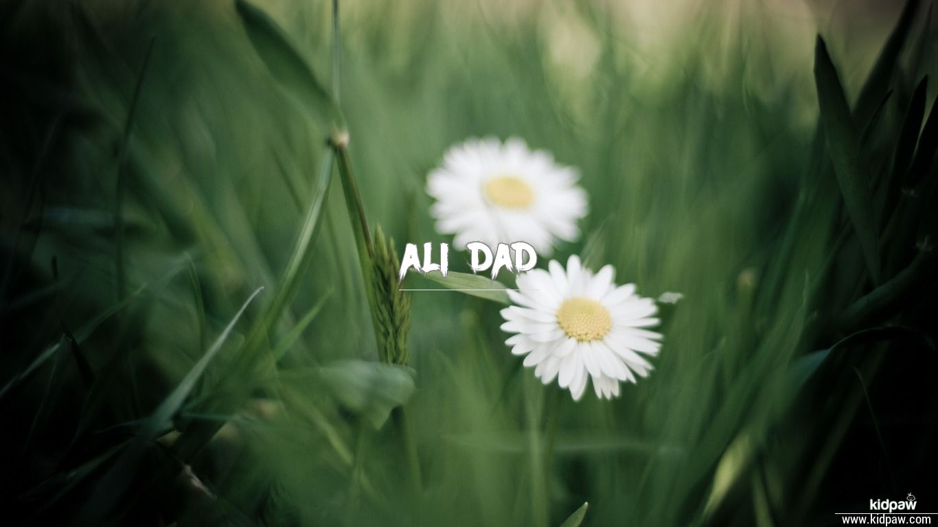 Ali Dad 3D Name Wallpaper for Mobile, Write Name on Photo Online