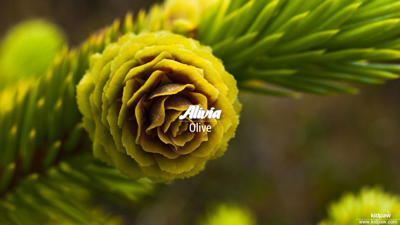 Alivia 3D Name Wallpaper for Mobile, Write Name on Photo Online