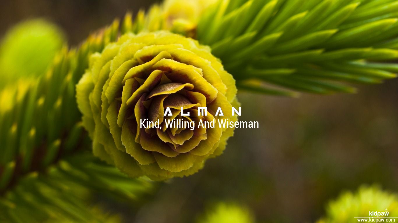 Alman 3D Name Wallpaper for Mobile, Write المن Name on Photo Online