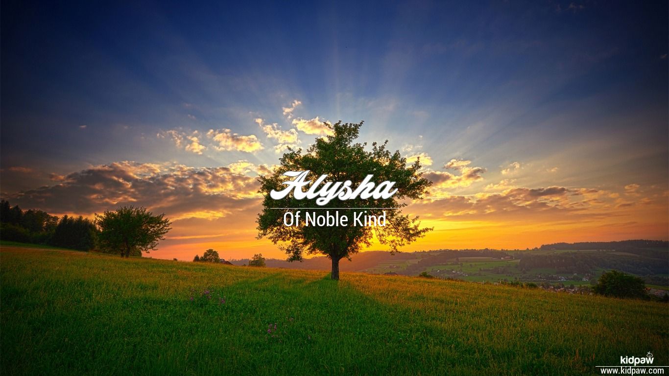 Alysha 3D Name Wallpaper for Mobile, Write Name on Photo Online