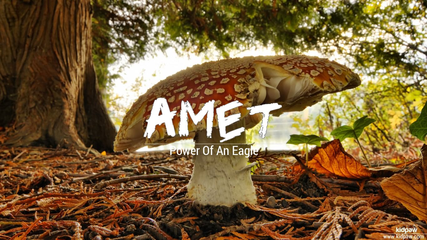 Amet 3D Name Wallpaper for Mobile, Write Name on Photo Online