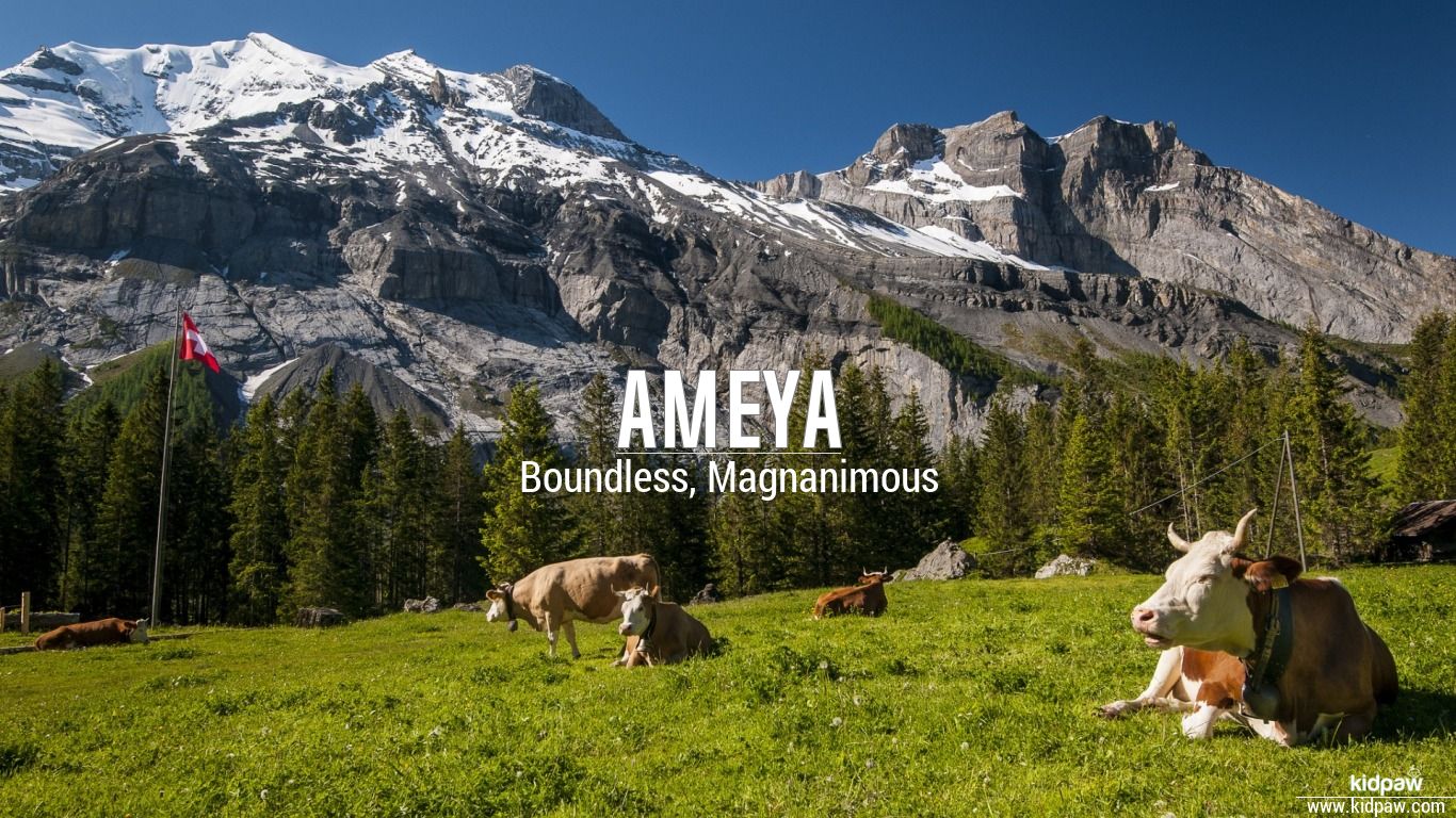 Ameya 3D Name Wallpaper for Mobile, Write अमेया Name on Photo Online