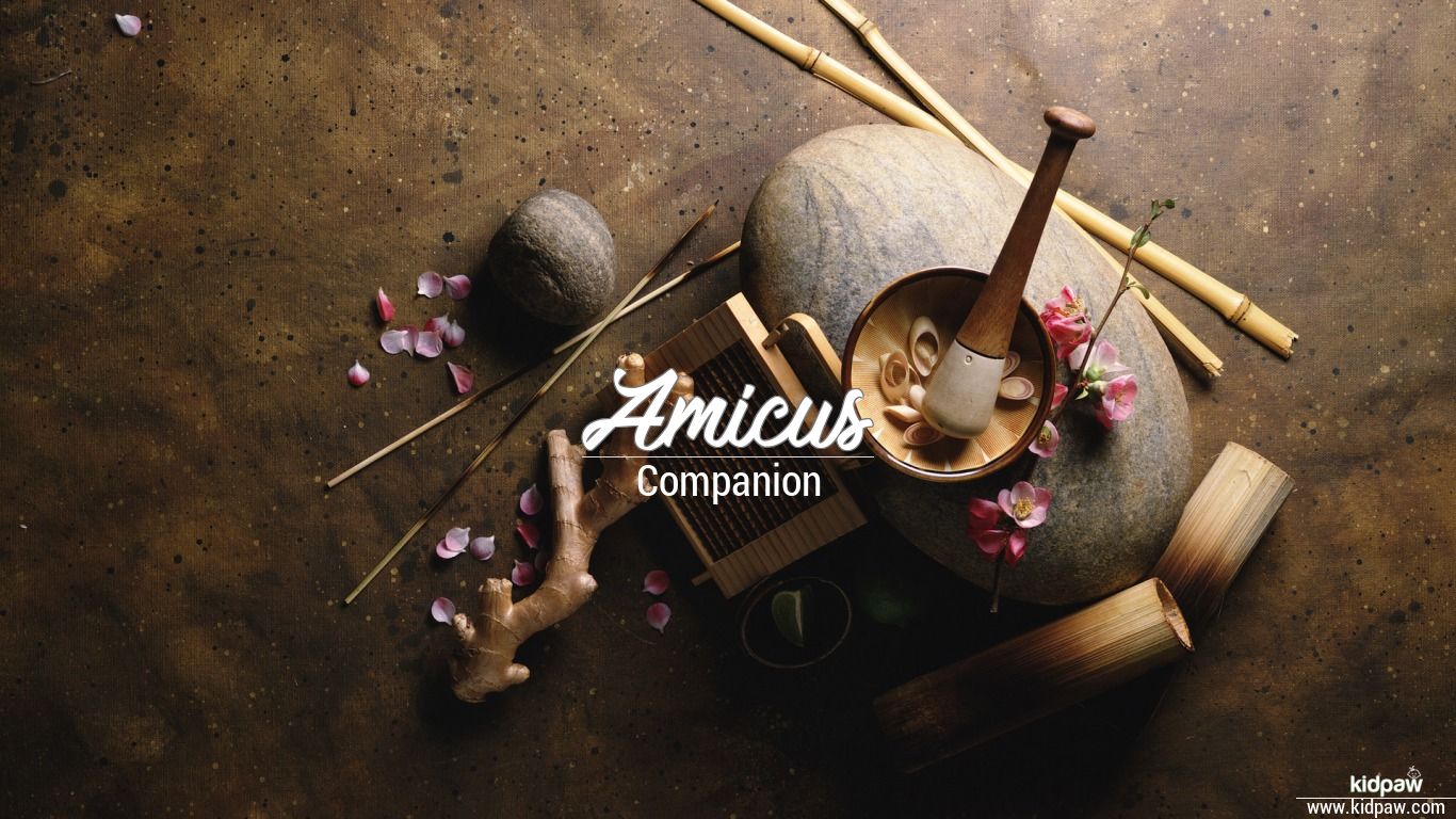 Amicus 3D Name Wallpaper for Mobile, Write Name on Photo Online