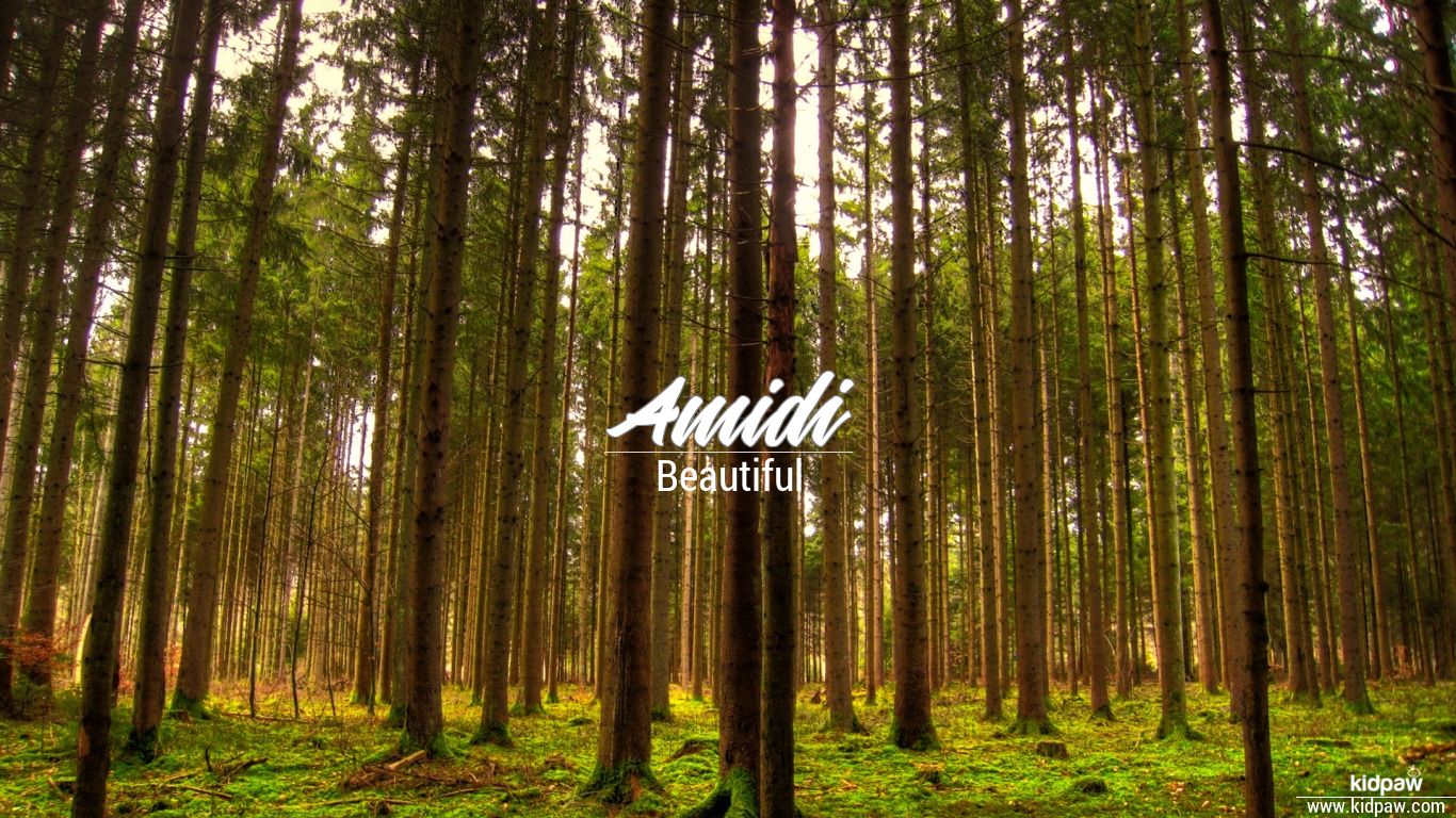 Amidi 3D Name Wallpaper for Mobile, Write अमिदी Name on Photo Online