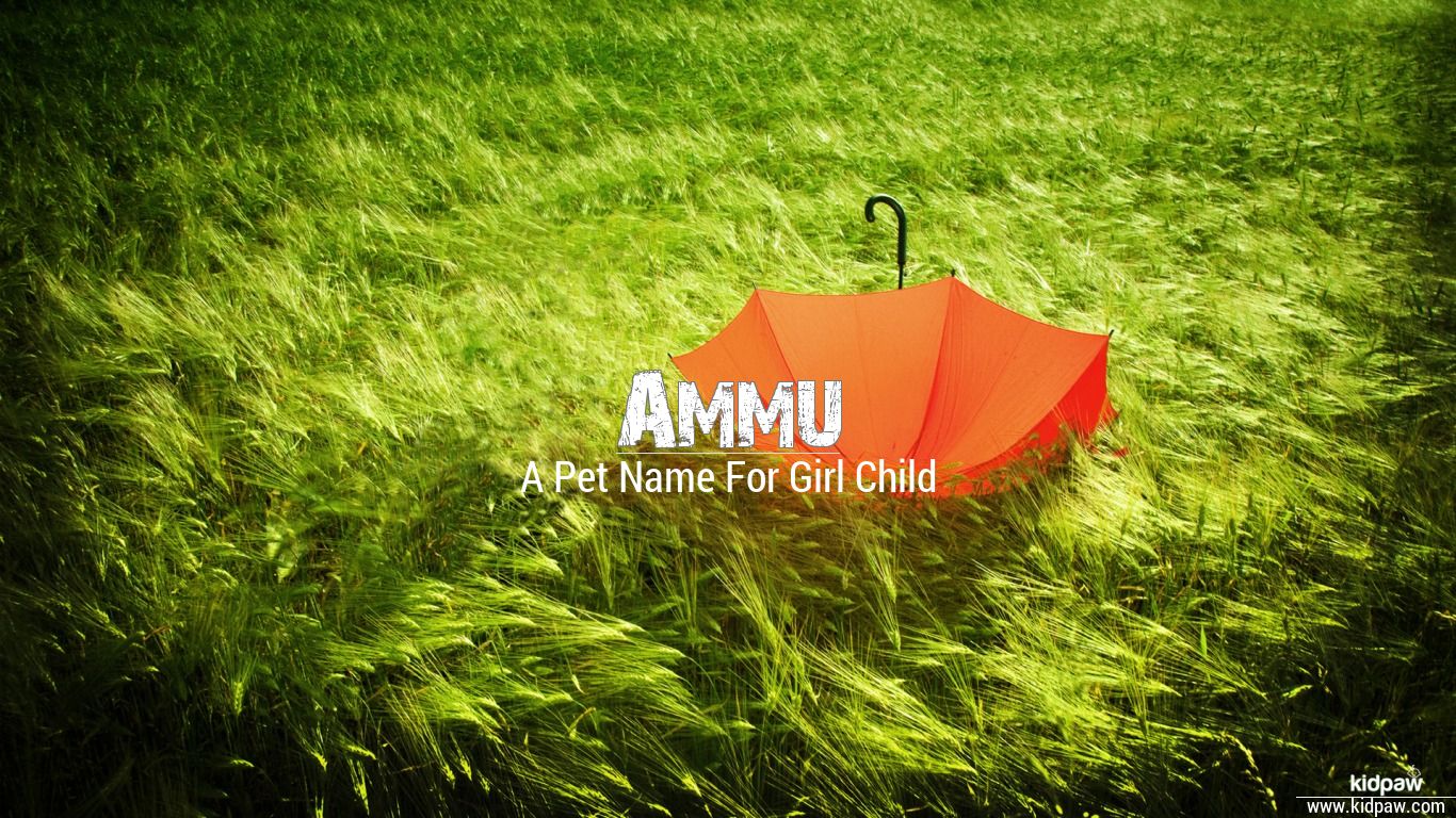 Ammu 3D Name Wallpaper for Mobile, Write अम्मु Name on Photo Online
