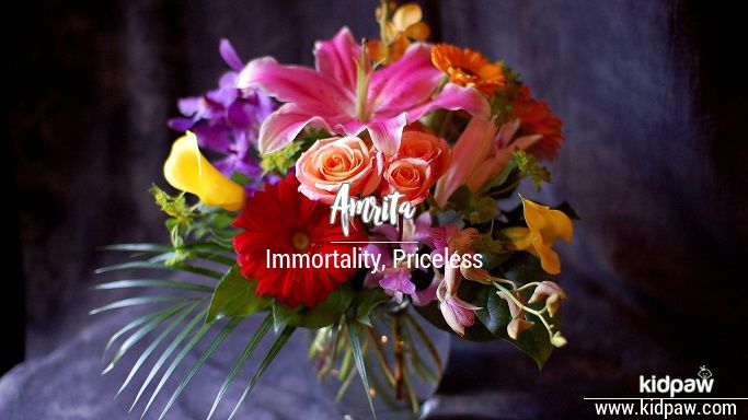 अमृता | Amrita Name Meaning in Hindi & English, Rashi, Nakshatra ...