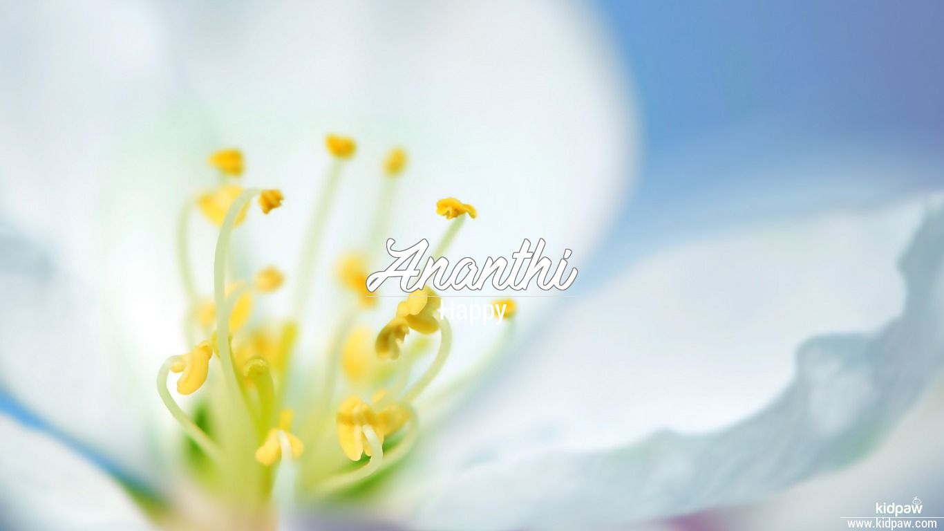 Ananthi 3D Name Wallpaper for Mobile, Write अनंति Name on Photo Online