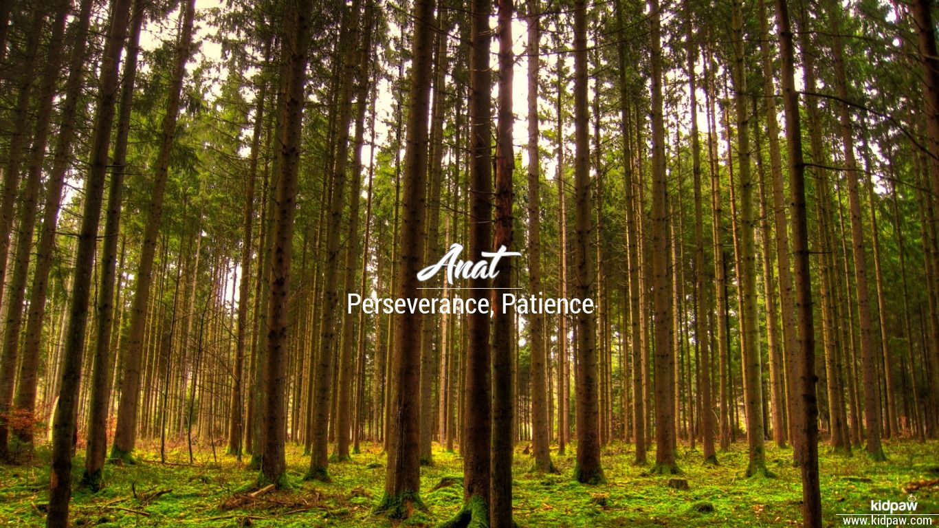 Anat Name Meaning in English & Urdu, Origin, Luck Number