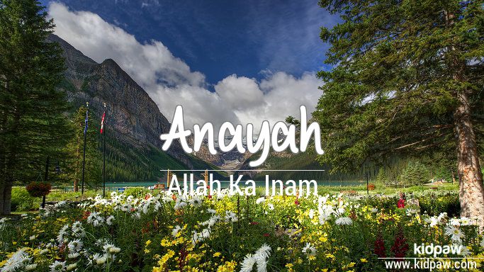 Anayah 3D Name Wallpaper for Mobile, Write أنايه Name on Photo Online