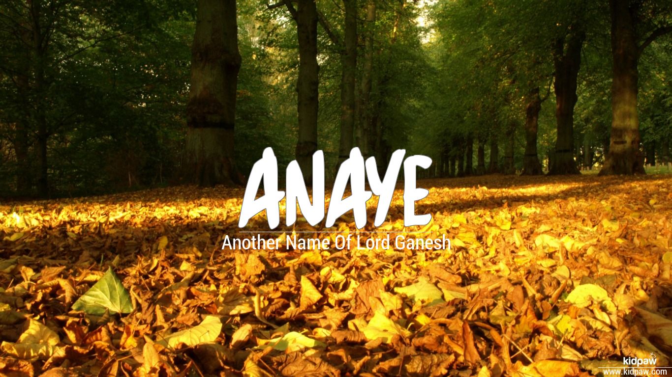 Anaye 3D Name Wallpaper for Mobile, Write अनये Name on Photo Online