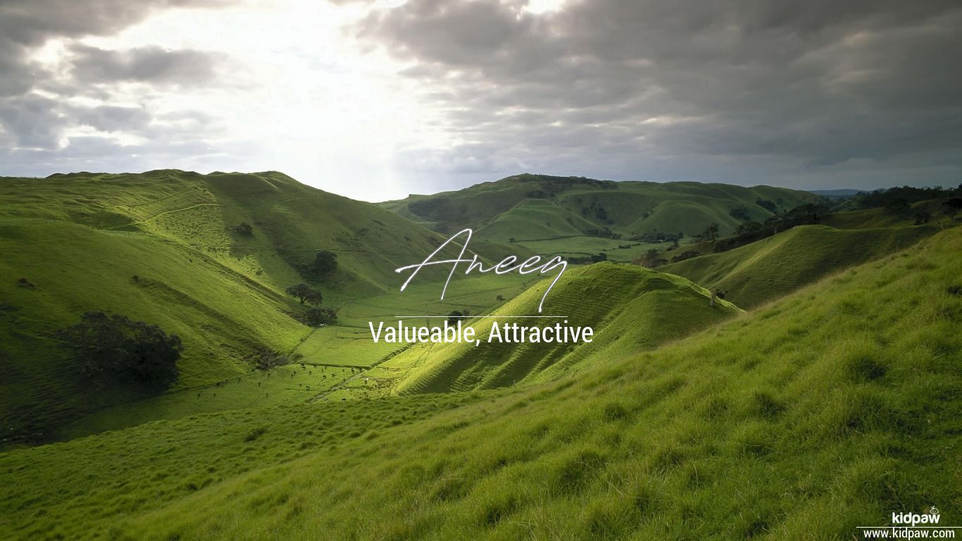 Aneeq 3D Name Wallpaper for Mobile, Write انیق Name on Photo Online