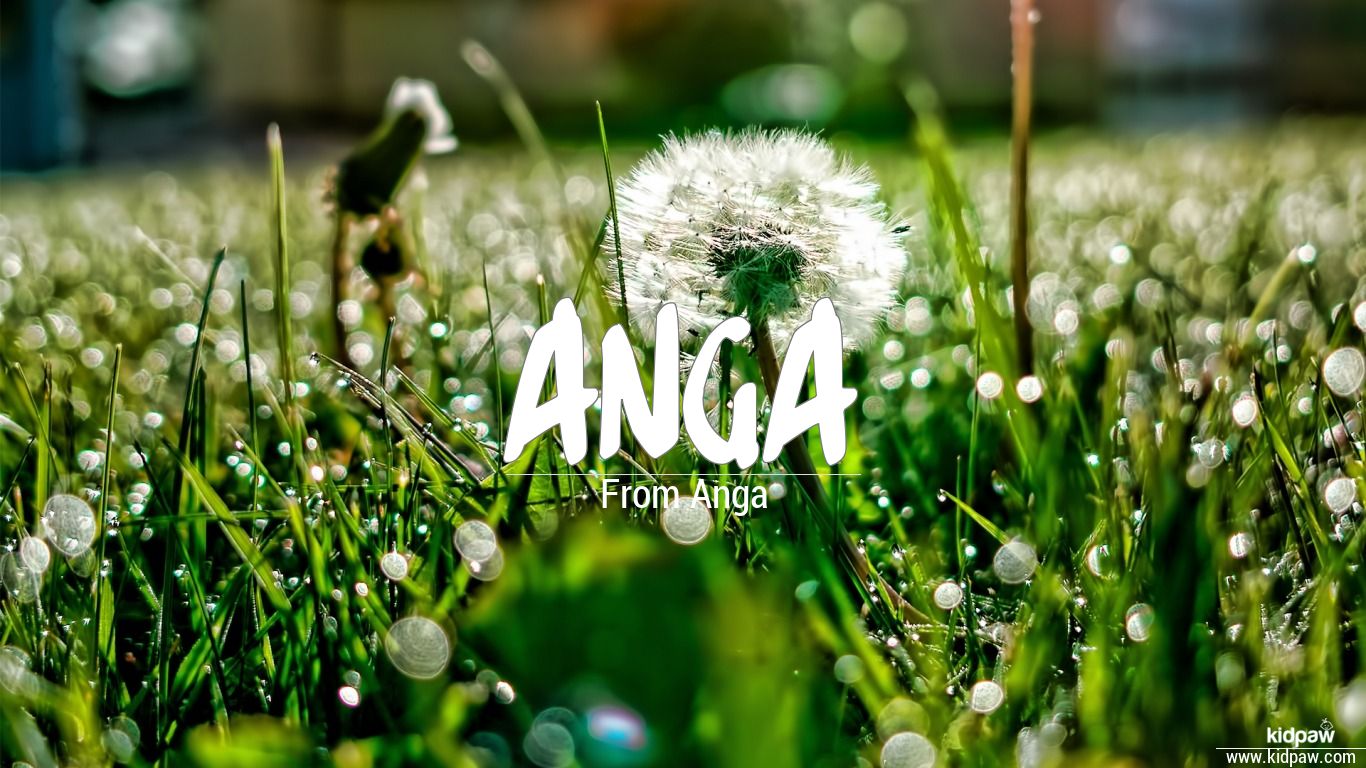 Anga 3D Name Wallpaper for Mobile, Write अंग Name on Photo Online