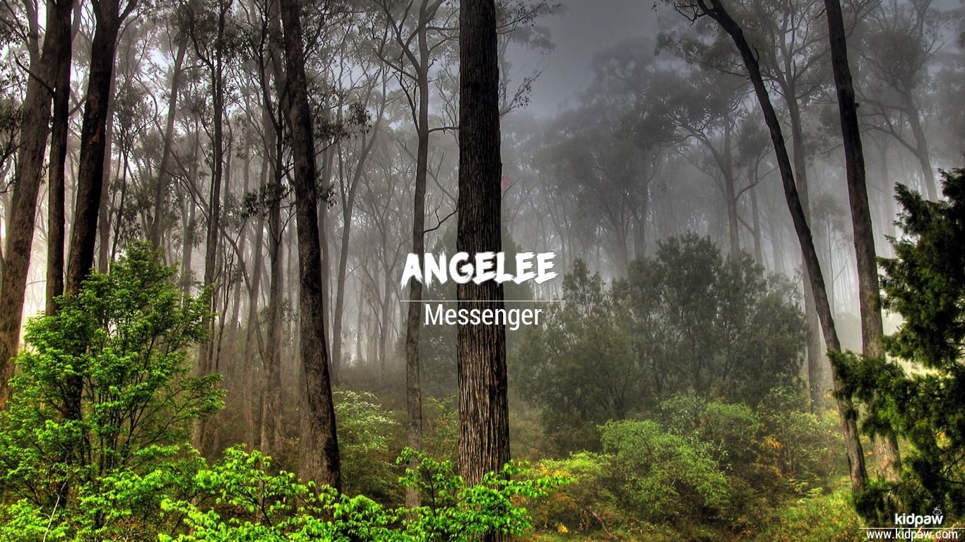 Angelee 3D Name Wallpaper for Mobile, Write Name on Photo Online