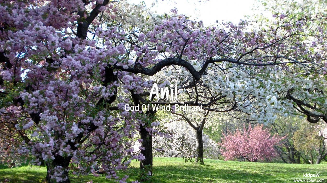 अनिल | Anil Name Meaning in Hindi & English, Rashi, Nakshatra, Origin ...