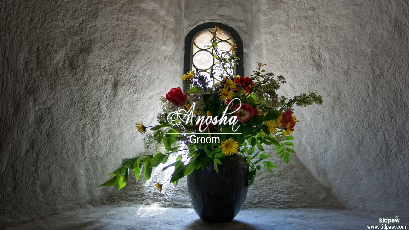 Anosha 3D Name Wallpaper for Mobile, Write Name on Photo Online