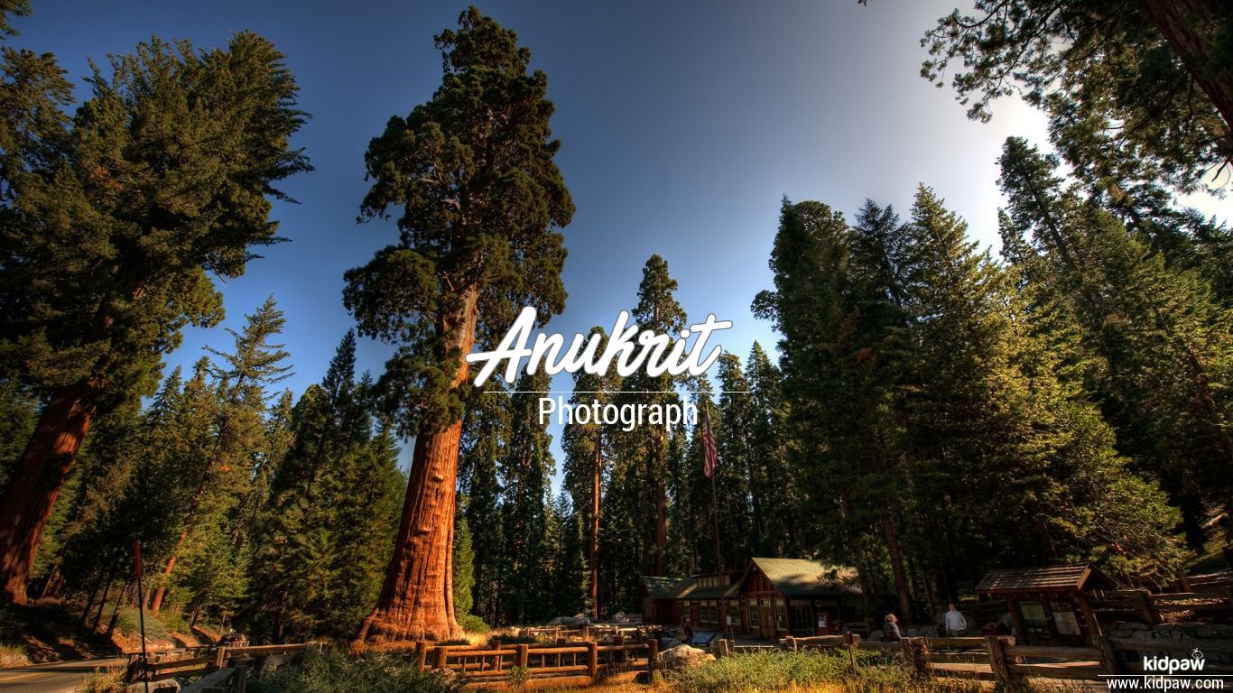 Anukrit 3D Name Wallpaper for Mobile, Write अनुक्रित Name on Photo Online