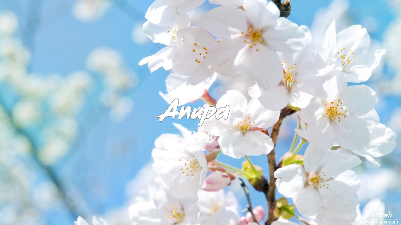 Anupa 3D Name Wallpaper for Mobile, Write अनुपा Name on Photo Online