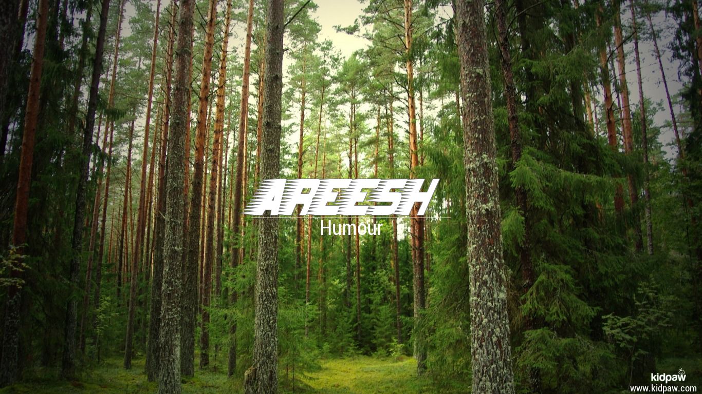 Areesh 3D Name Wallpaper for Mobile, Write Name on Photo Online