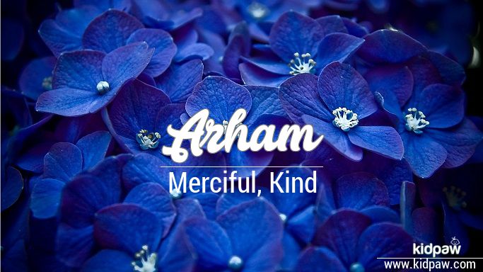 Arham Name Meaning in English & Urdu, Origin, Luck Number