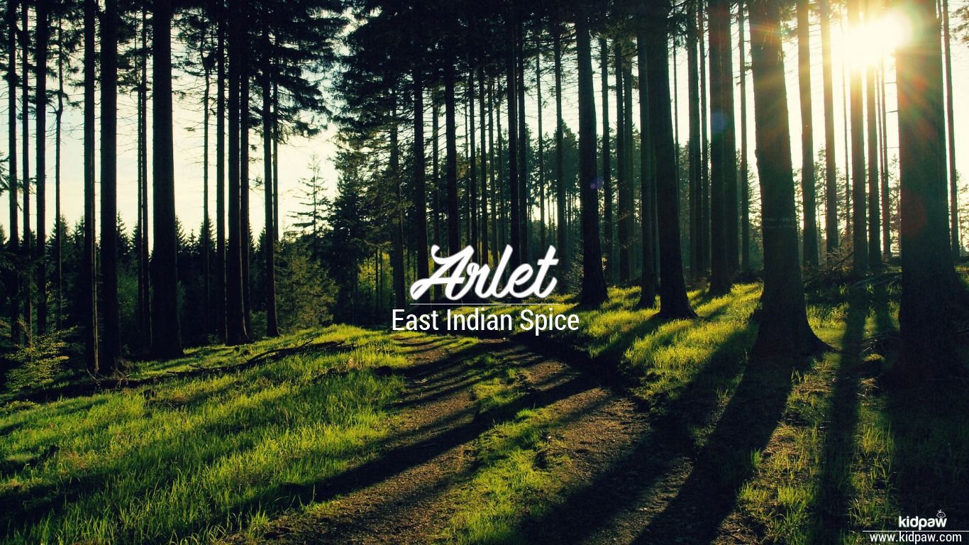 Arlet 3D Name Wallpaper for Mobile, Write ार्लेट Name on Photo Online