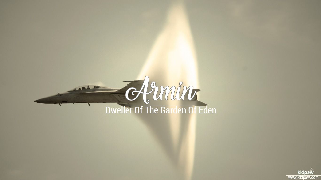 Armin Name Meaning in English & Urdu, Origin, Luck Number