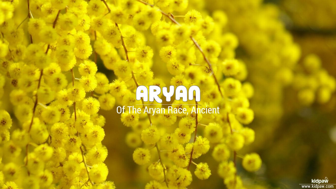 आर्यन | Aryan Name Meaning in Hindi & English, Rashi, Nakshatra, Origin ...