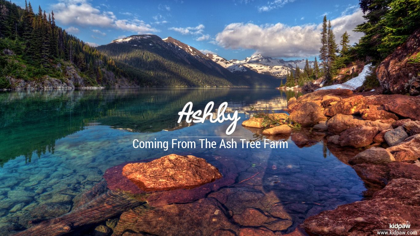 Ashby 3D Name Wallpaper for Mobile, Write Name on Photo Online