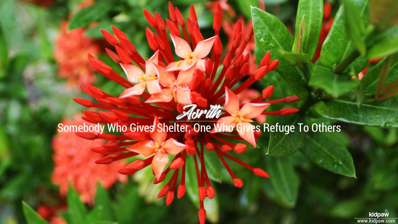 Asrith 3D Name Wallpaper for Mobile, Write अस्रित Name on Photo Online