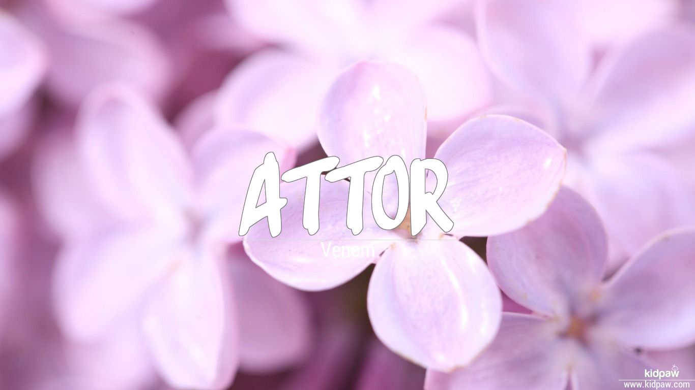 Attor 3D Name Wallpaper for Mobile, Write Name on Photo Online