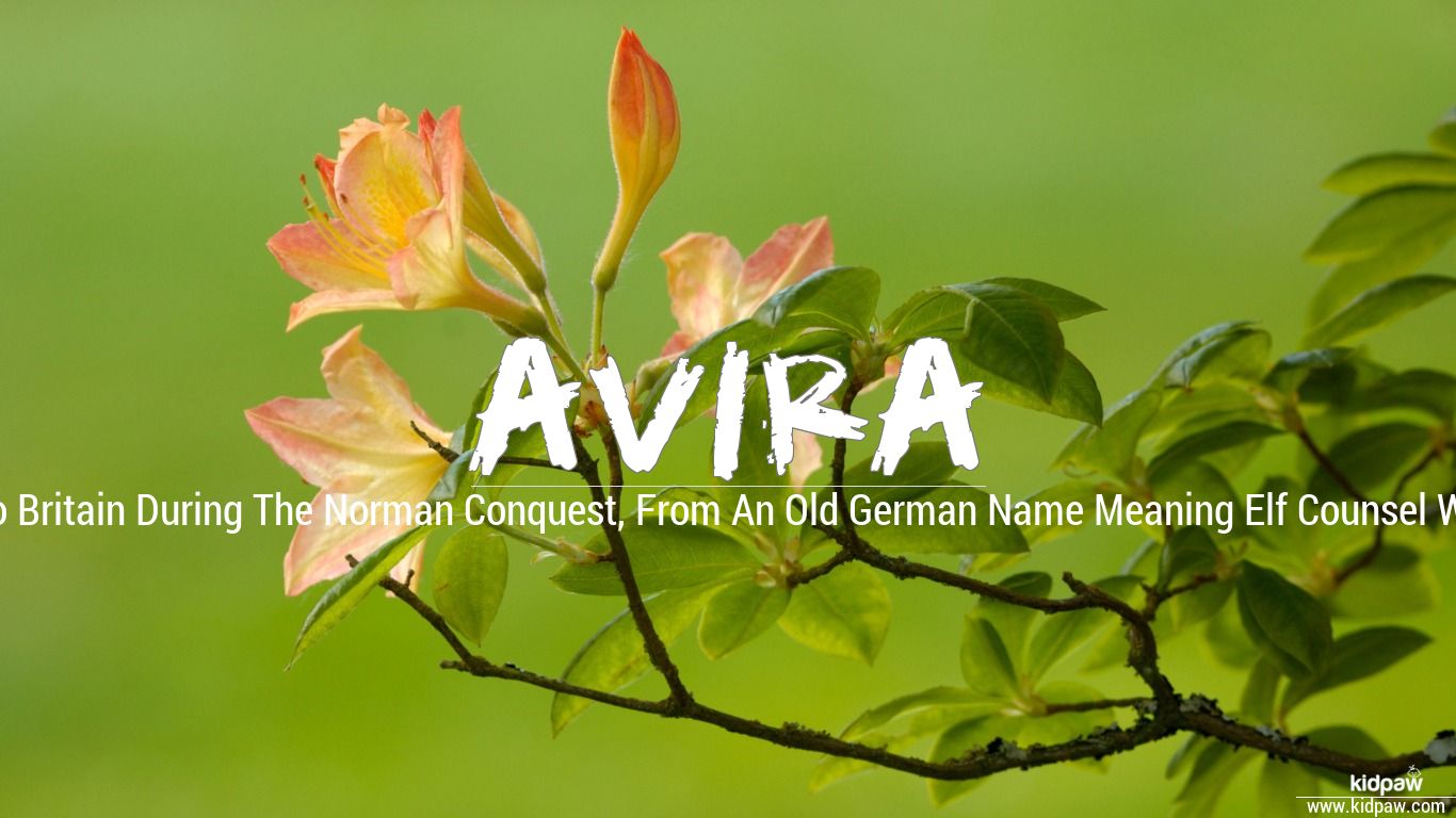Avira 3D Name Wallpaper for Mobile, Write Name on Photo Online