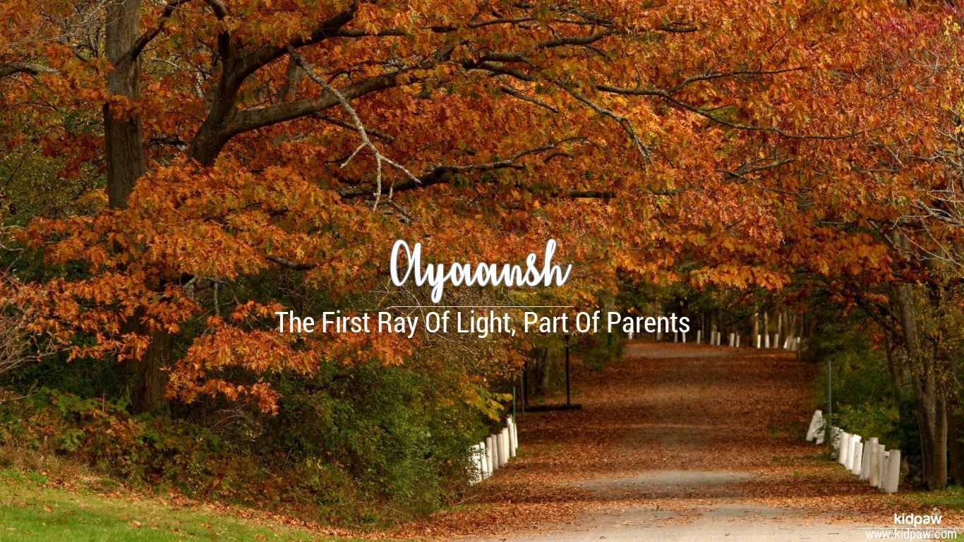 अयांश | Ayaansh Name Meaning in Hindi & English, Rashi, Nakshatra ...
