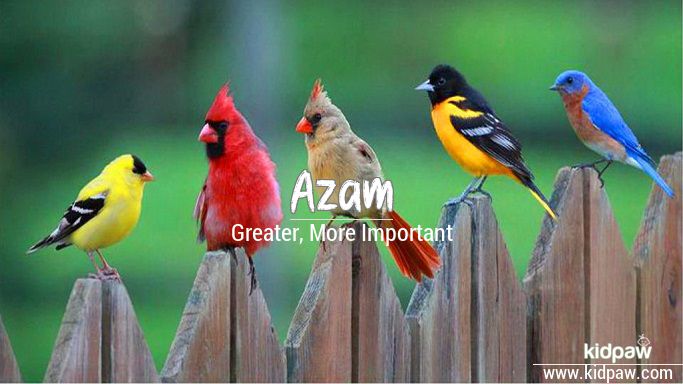 Azam Name Meaning in English & Urdu, Origin, Luck Number