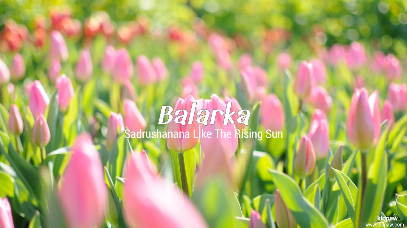 बलारका | Balarka Name Meaning in Hindi & English, Rashi, Nakshatra ...